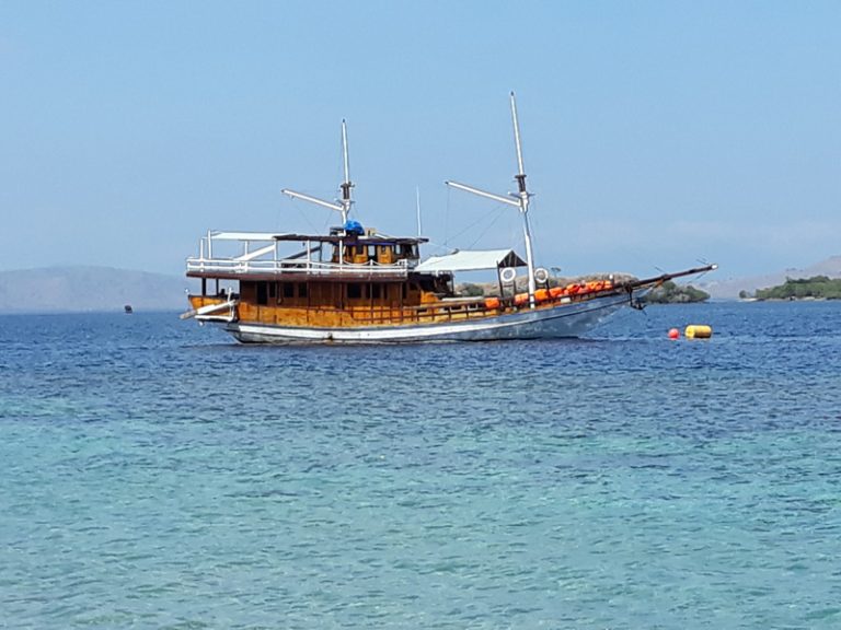 Komodo Dive Liveaboard - Flores Active Tours